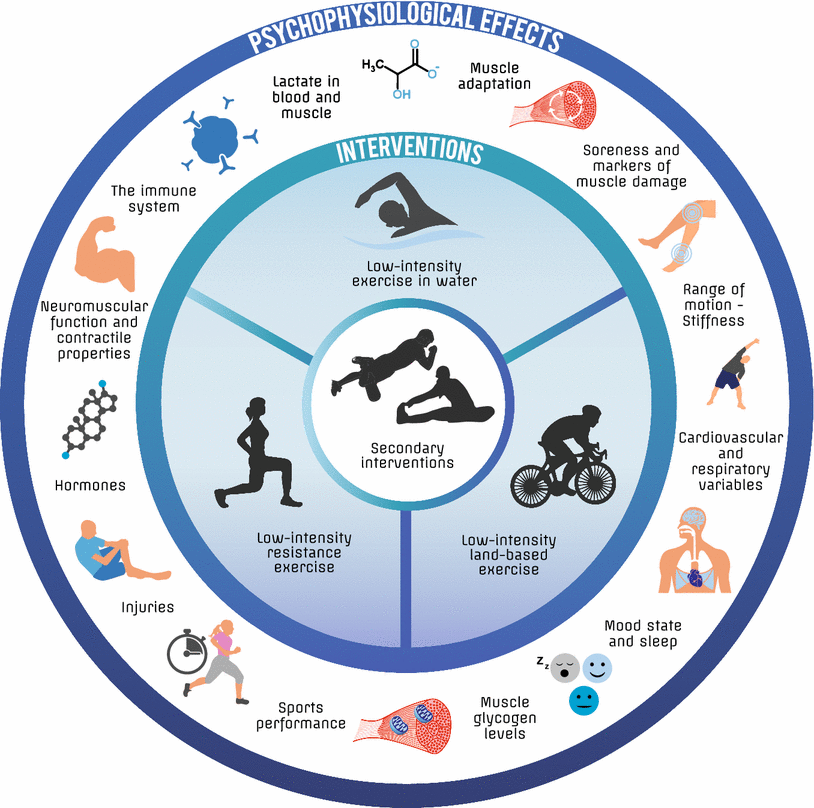 Do We Need a Cool-Down After Exercise? – TRAIN LIKE A MONK